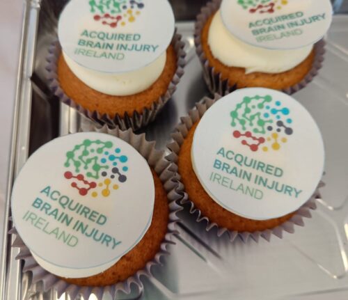 Acquired Brain Injury Ireland - Brain Injury Support & Services